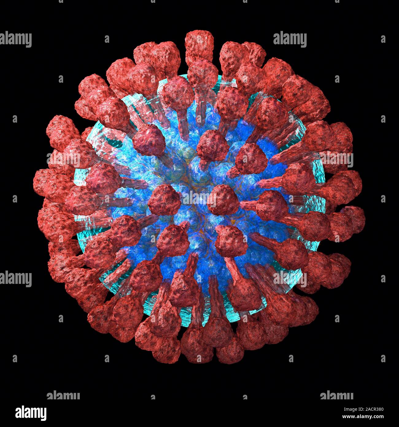 This image may not be used in educational posters Lassa virus particle ...