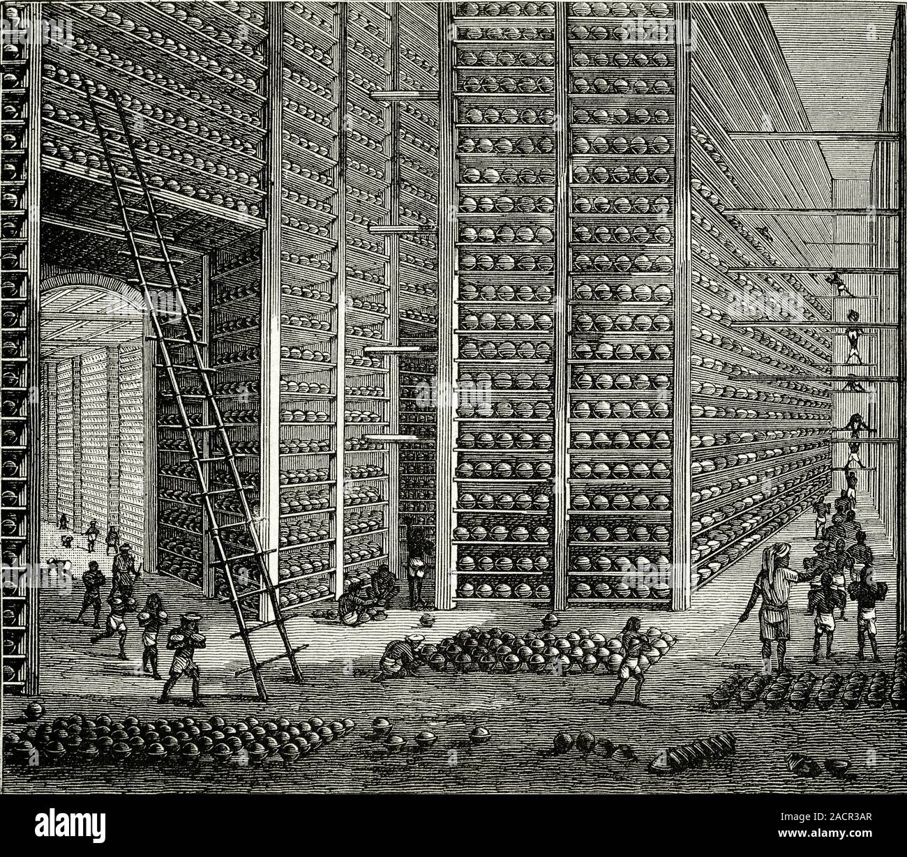Opium factory in India. 19th-century artwork of workers stacking opium ...