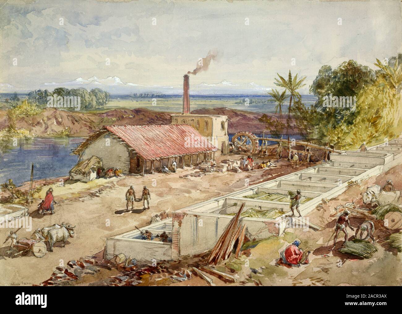 Indigo dye factory in Bengal. 19th-century artwork of workers producing ...