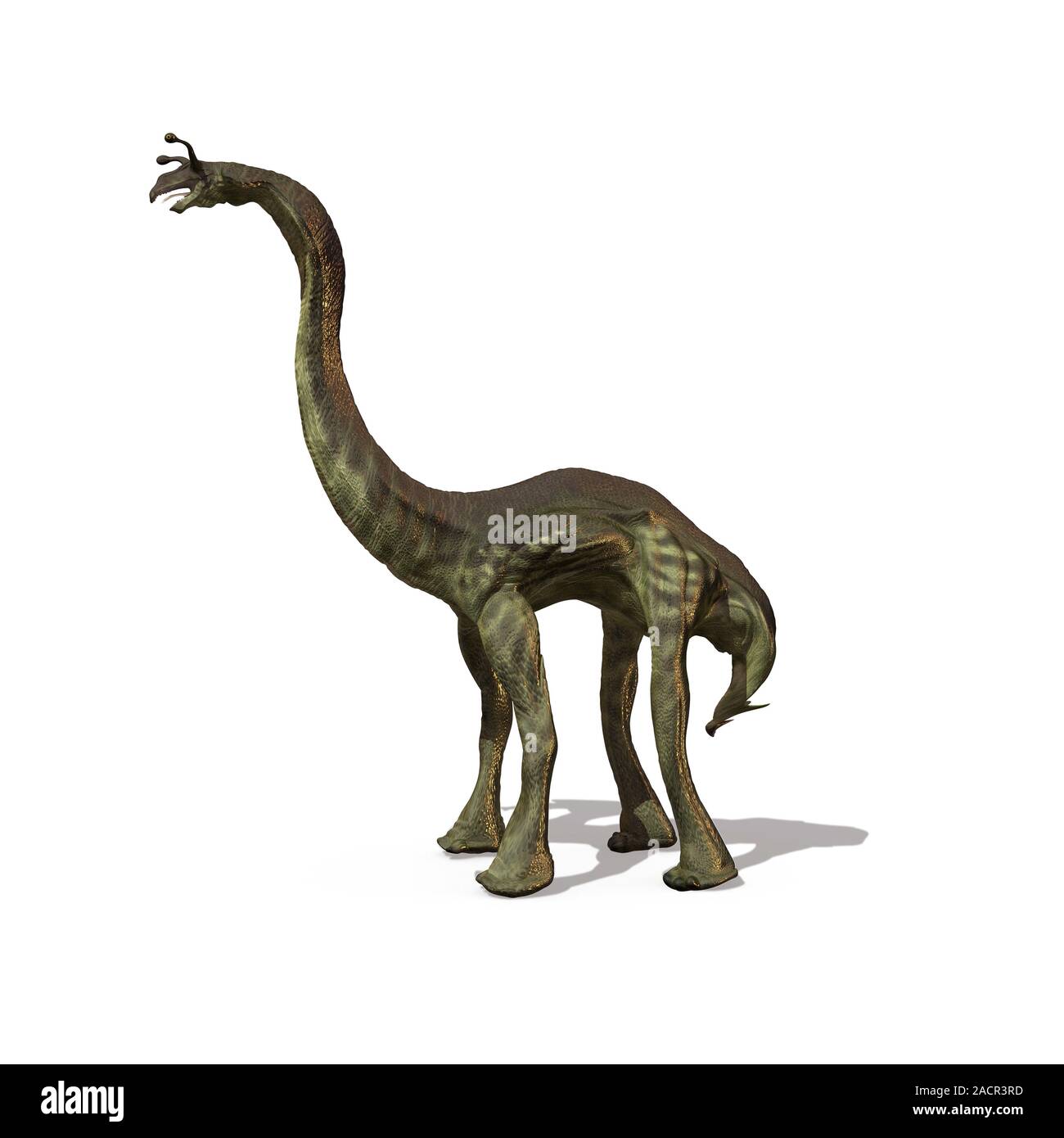 Alien animal. Conceptual computer artwork of a theoretical alien animal ...