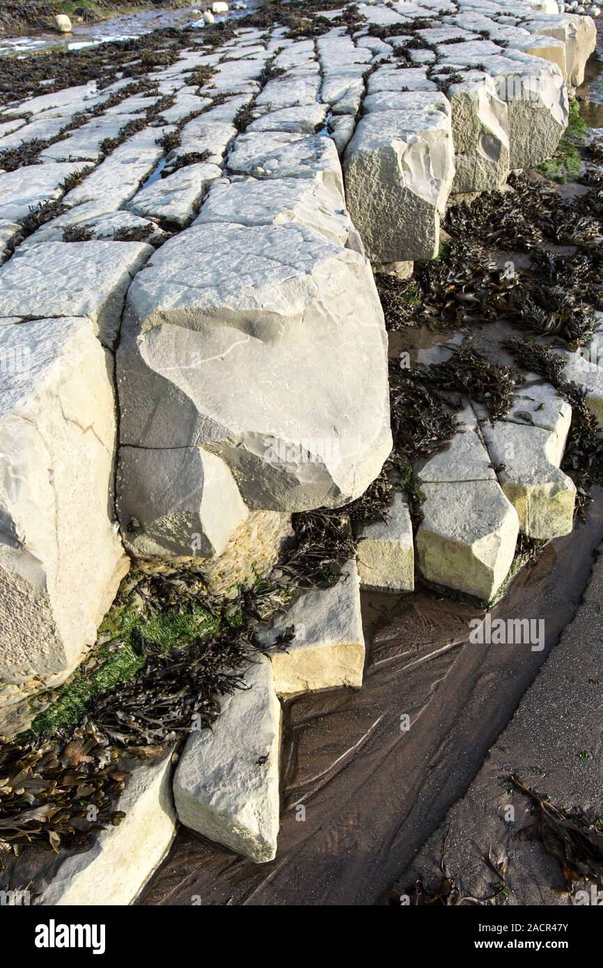 Wave-cut platform. Close-up of the limestone strata (layers) of a wave ...