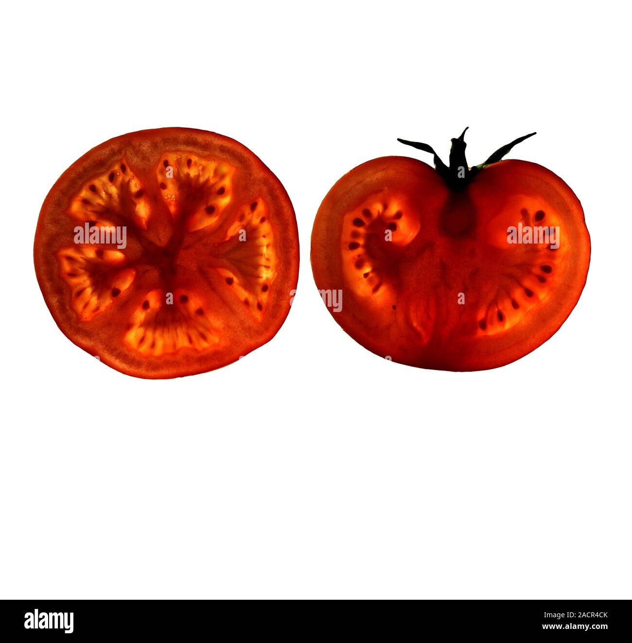 Tomato slices. Longitudinal (right) and transverse (left) slices ...