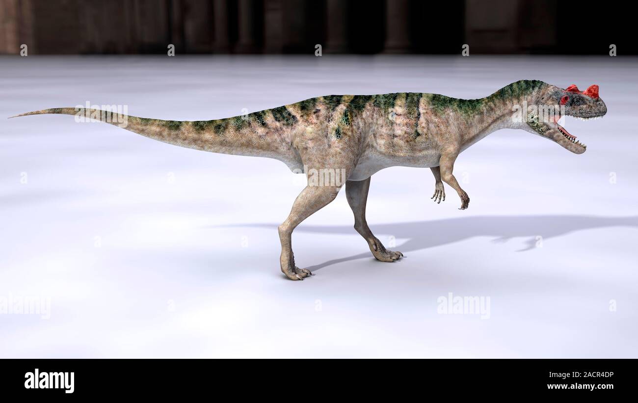 Ceratosaurus dinosaur, artwork. This large theropod dinosaur lived ...