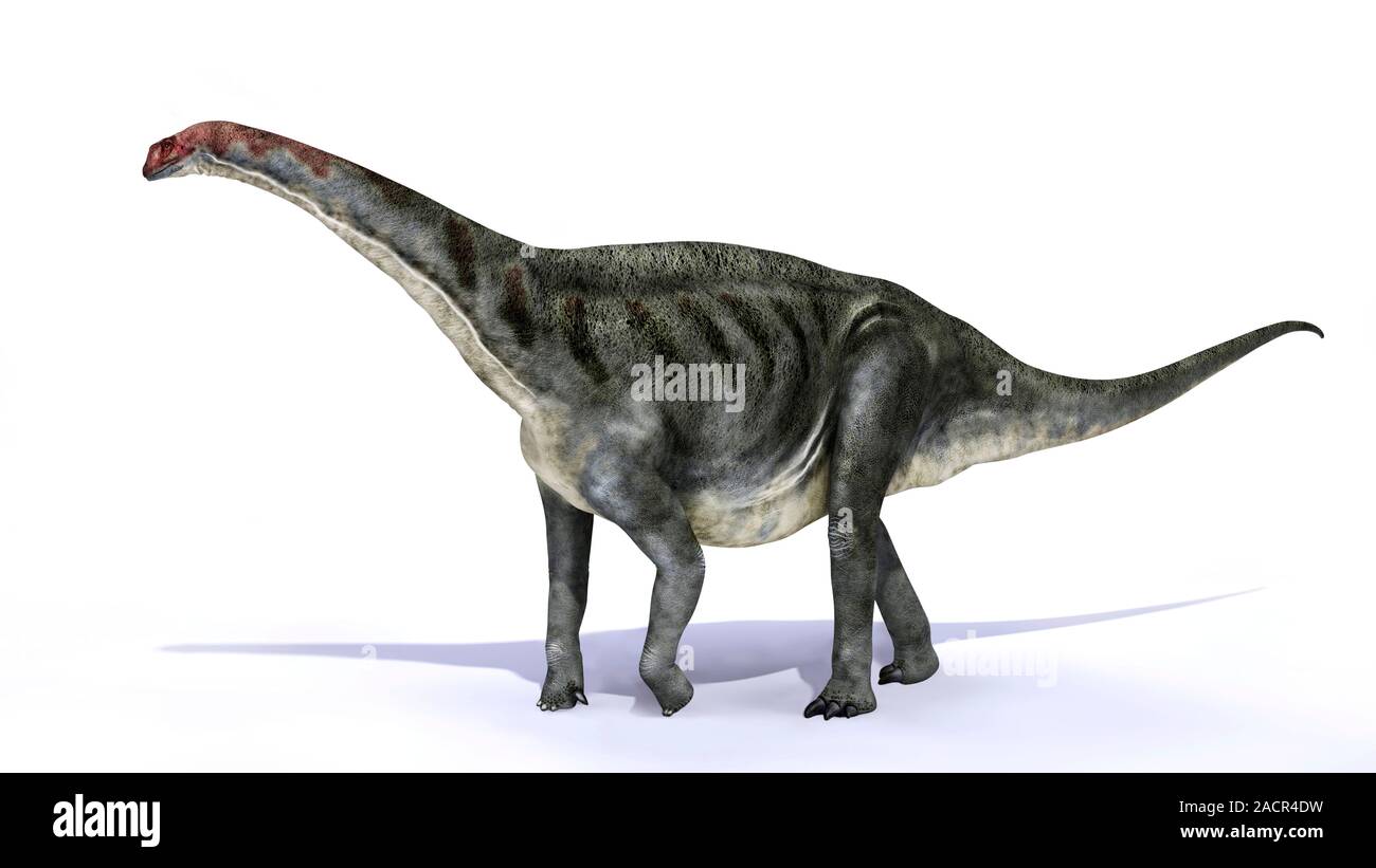 Galvesaurus dinosaur, artwork. This sauropod dinosaur lived around 147 ...