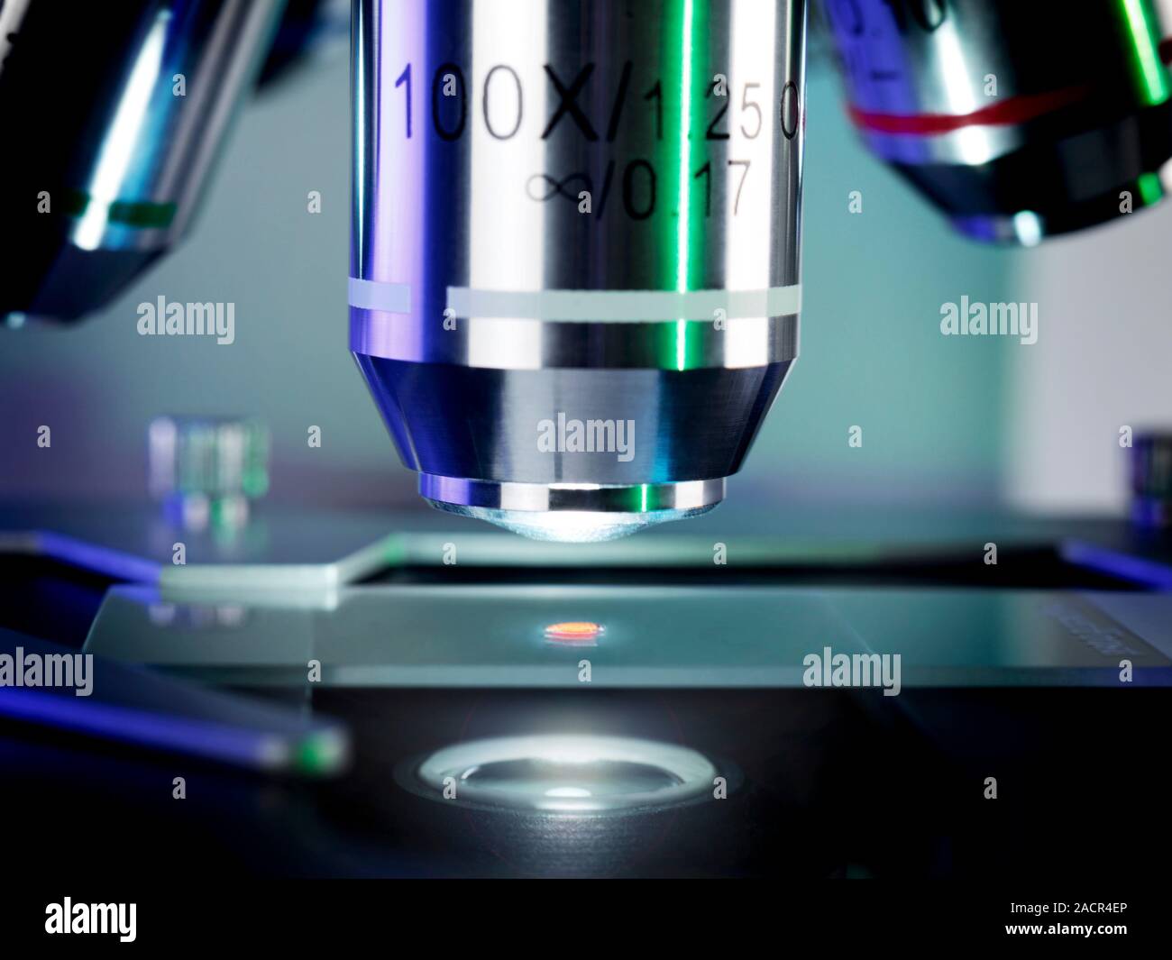 Light microscopy. Light microscope being used to magnify a blood sample ...