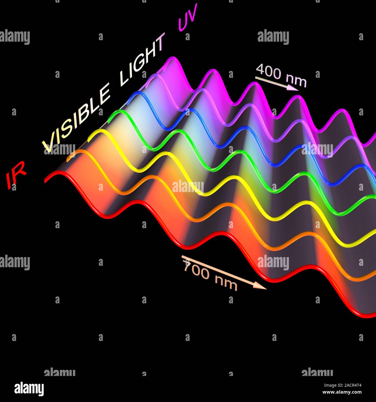 This image may not be used in educational posters Visible light ...