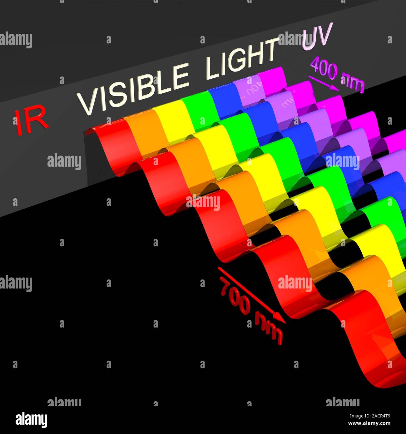 This image may not be used in educational posters Visible light ...