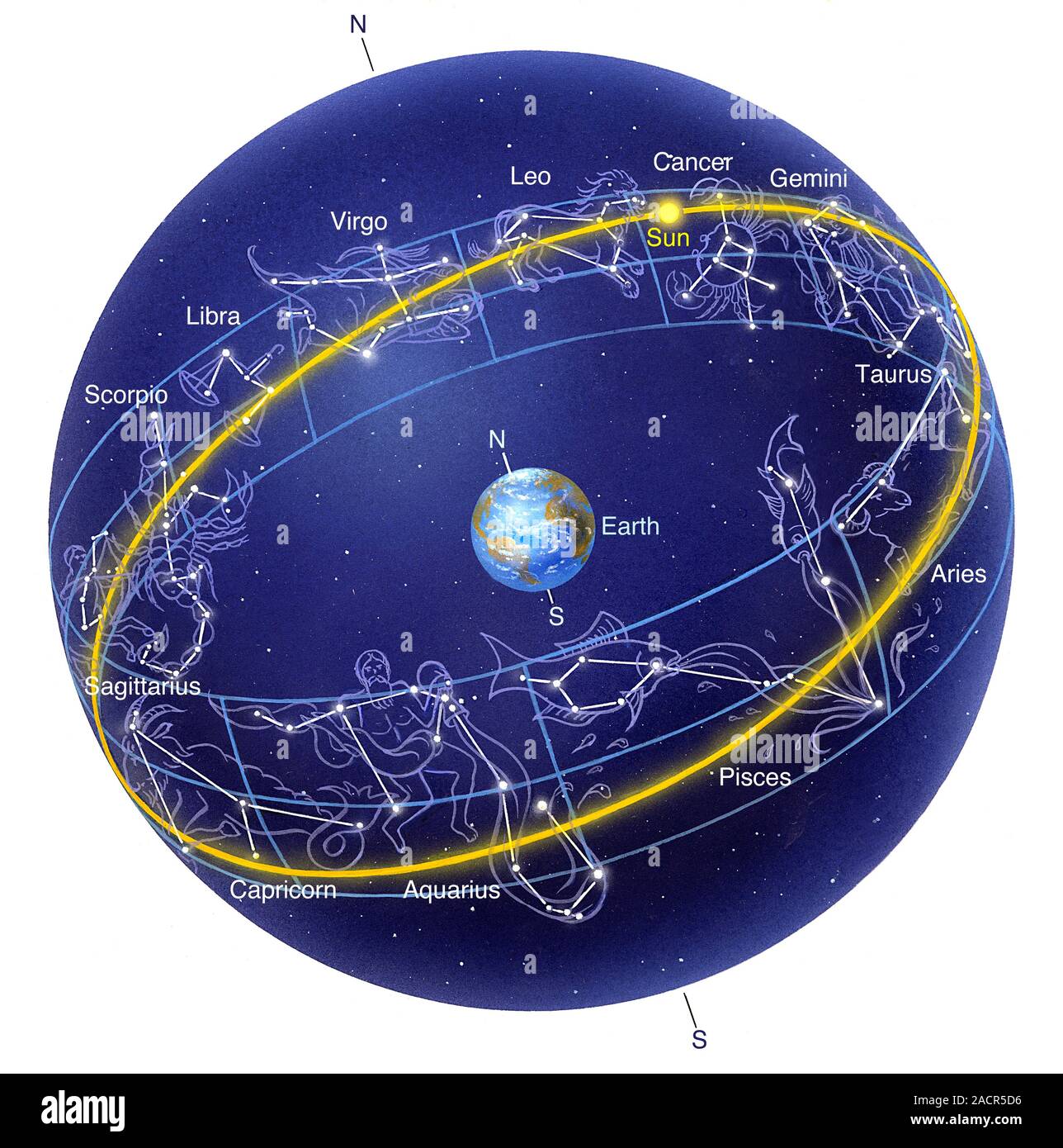 Constellations. Computer artwork showing the locations of the ...