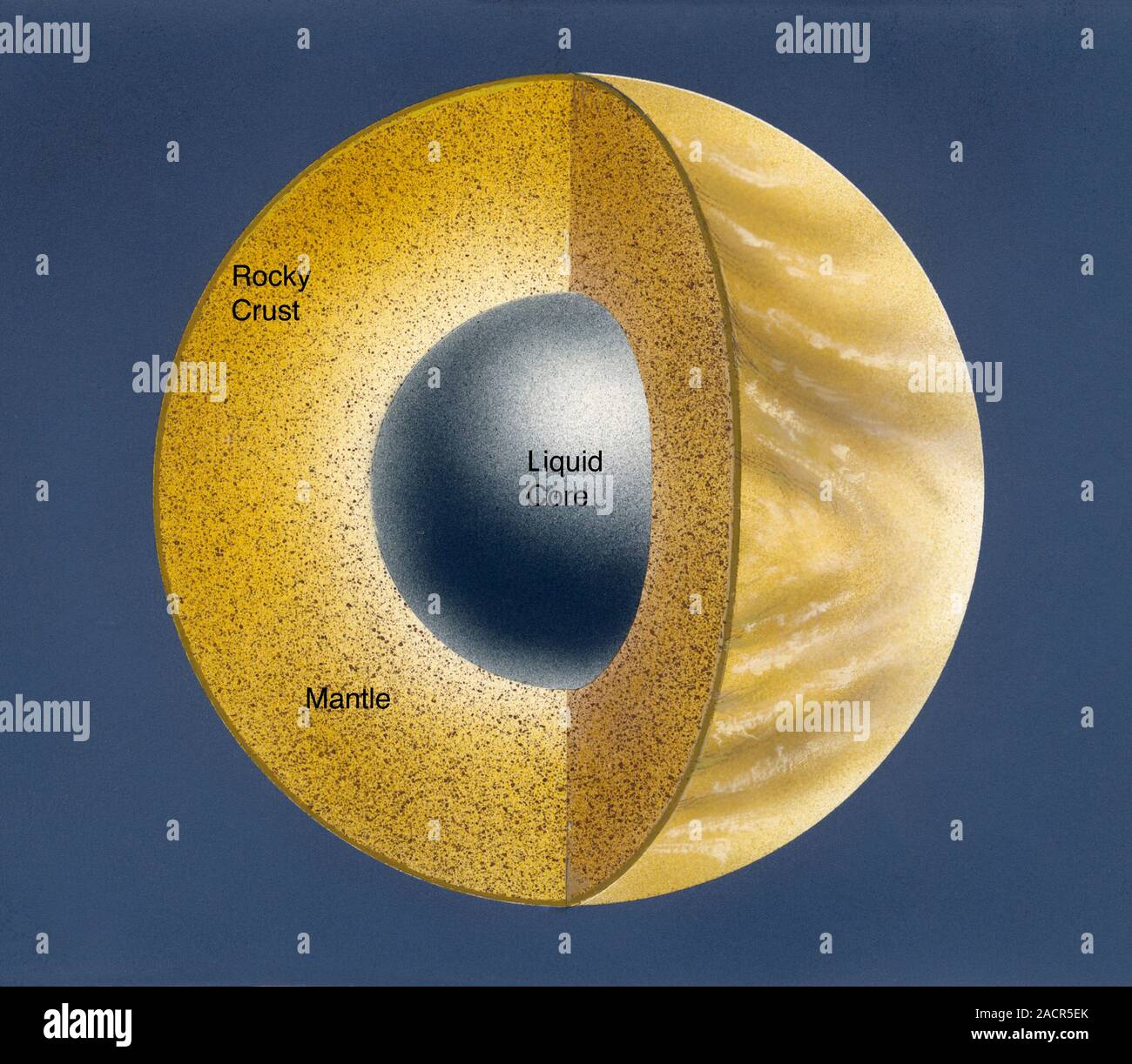 Venus's internal structure. Computer artwork showing the core (grey ...