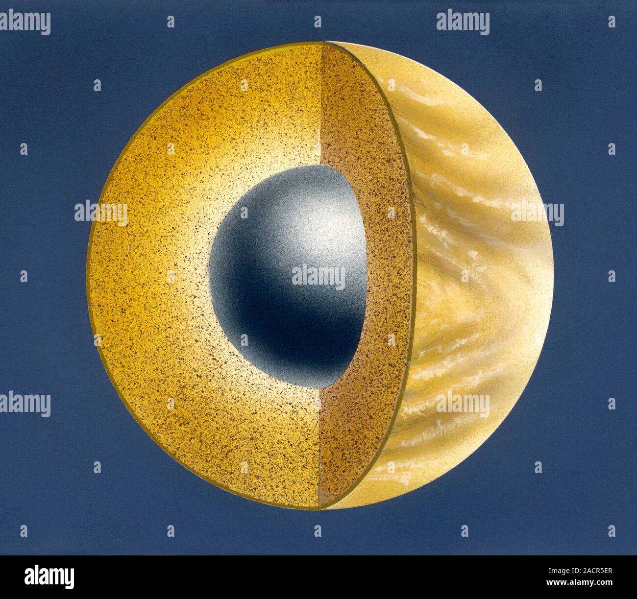 Venus's internal structure. Computer artwork showing the core (grey ...