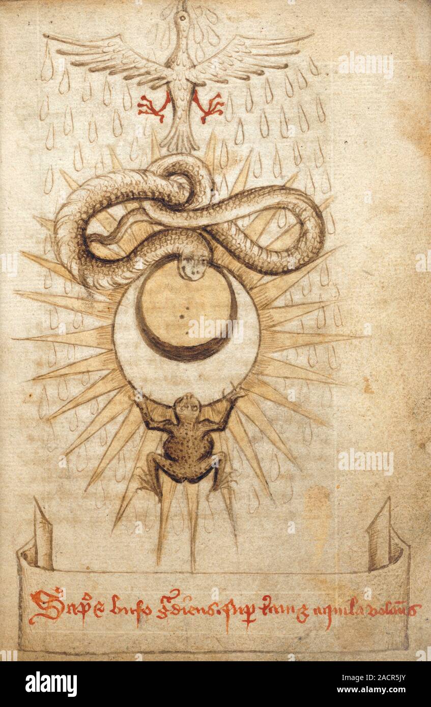 Alchemical drawings, 15th-century artwork. The symbols include a bird ...