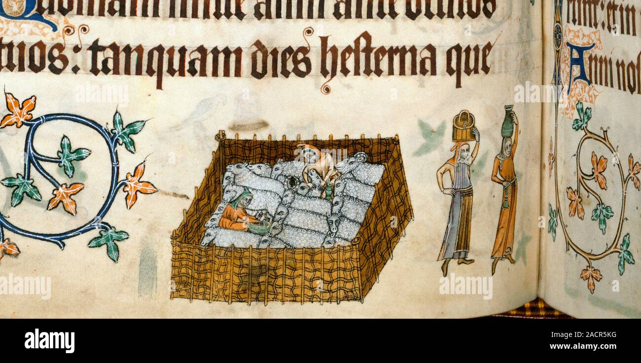 Medieval agriculture. Border illustration from the 14th-century ...