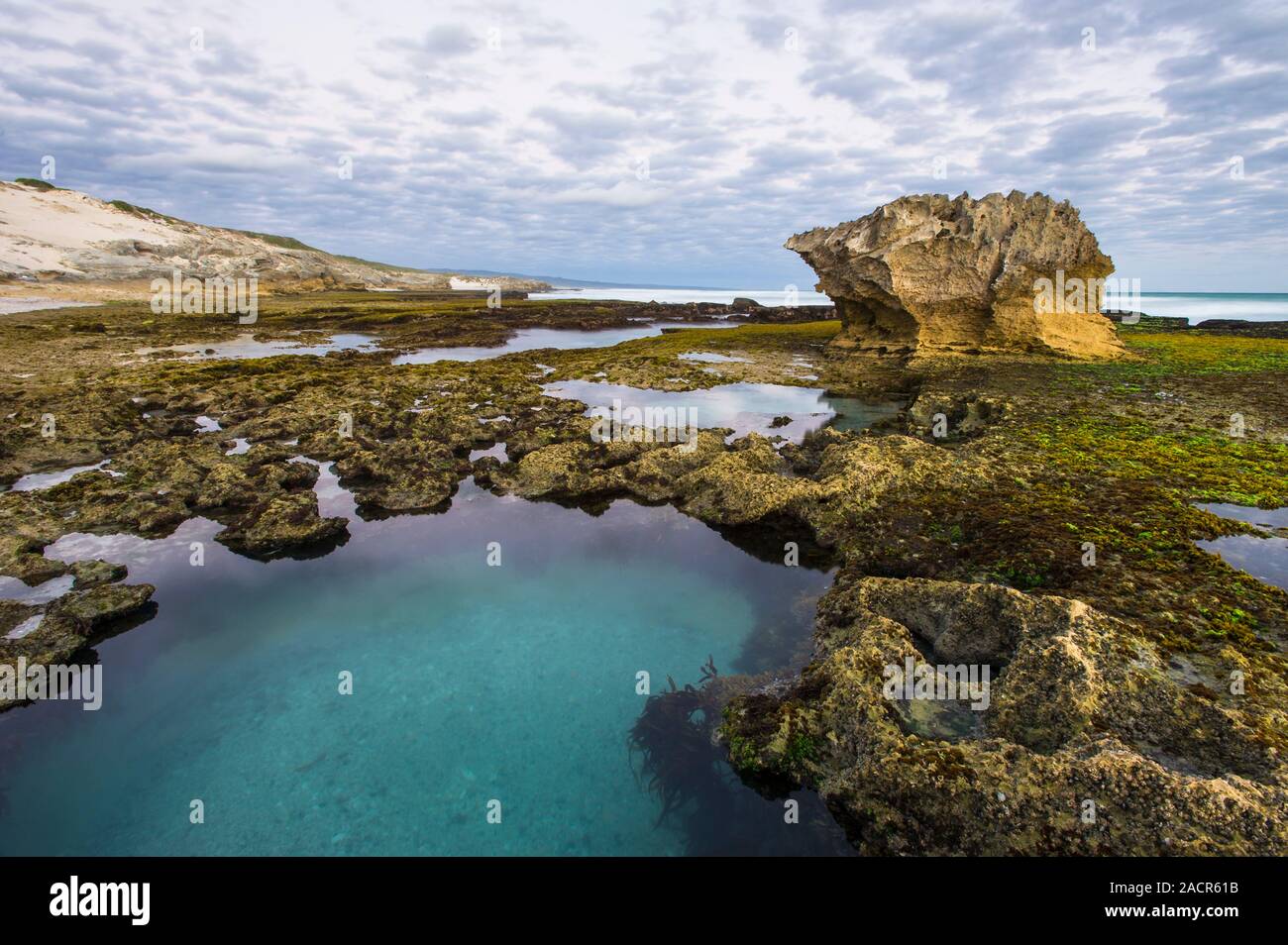 Intertidal zone. View across intertidal platforms and rock pools at De ...