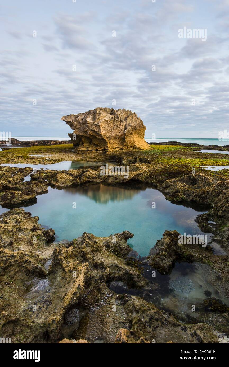 Intertidal zone. View across intertidal platforms and rock pools at De ...
