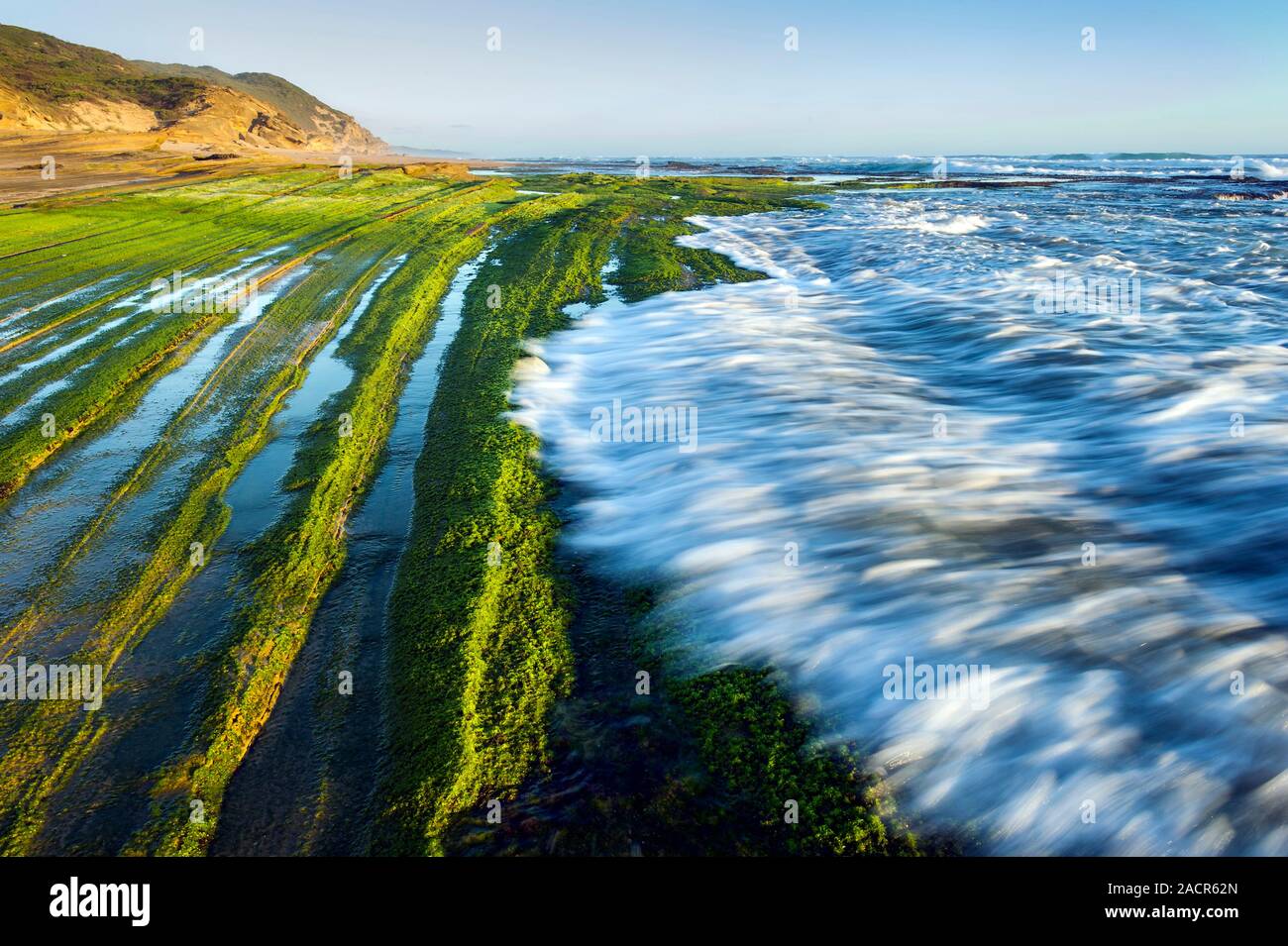 Intertidal zone. Time-exposure image of the sea lapping at algae ...