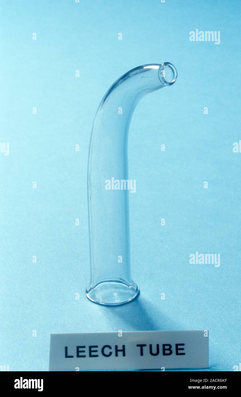 Glass leech tube dating from around the year 1850, England. This would ...