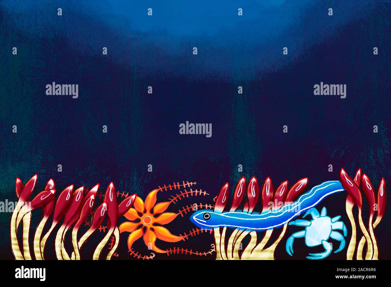 Sea life, conceptual computer artwork Stock Photo - Alamy