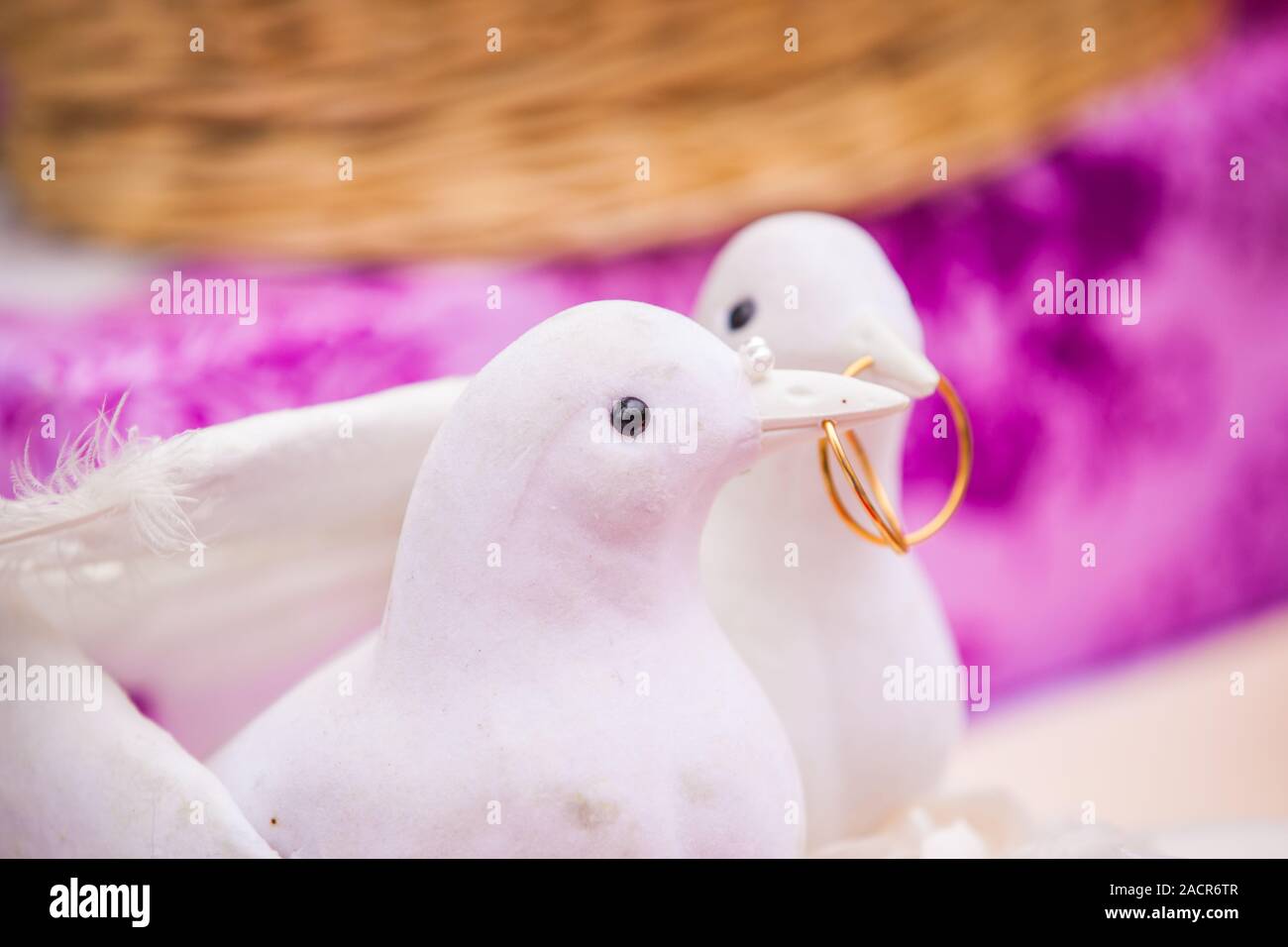 Two doves hi-res stock photography and images - Alamy
