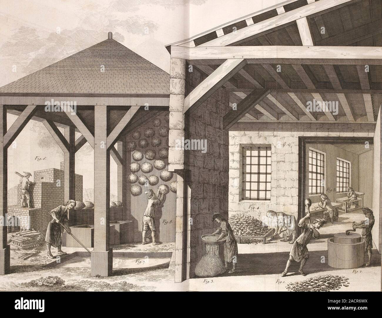 Indigo dye factory. 18th-century artwork of the processes used at an ...