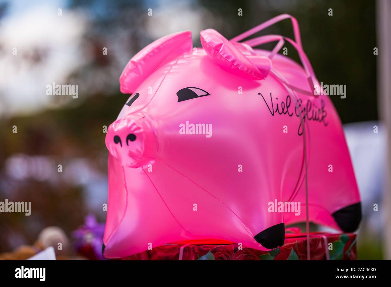 Pink hog hi-res stock photography and images - Alamy
