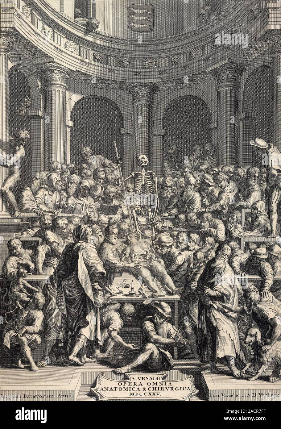 Dissecting a corpse. Artwork of anatomists dissecting a corpse in front ...