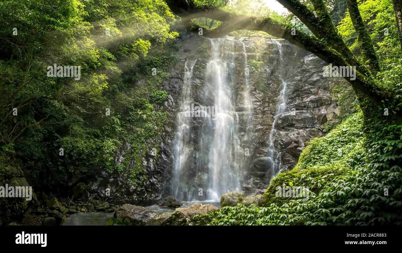 Fantastic morning with a natural waterfall scenery and sun light in the ...