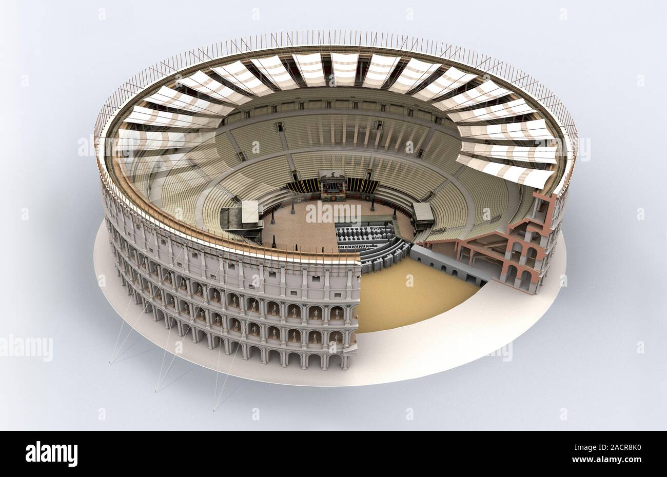 Colosseum in Rome. Cutaway and see-through artwork of the Colosseum (or ...