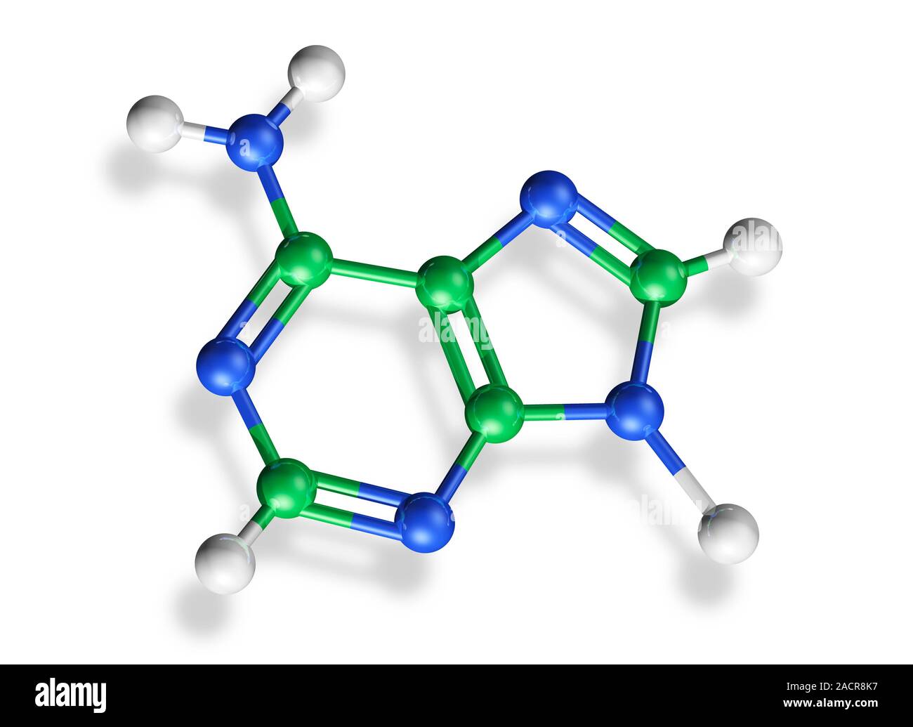Adenine molecule. Computer artwork showing the structure of a molecule ...
