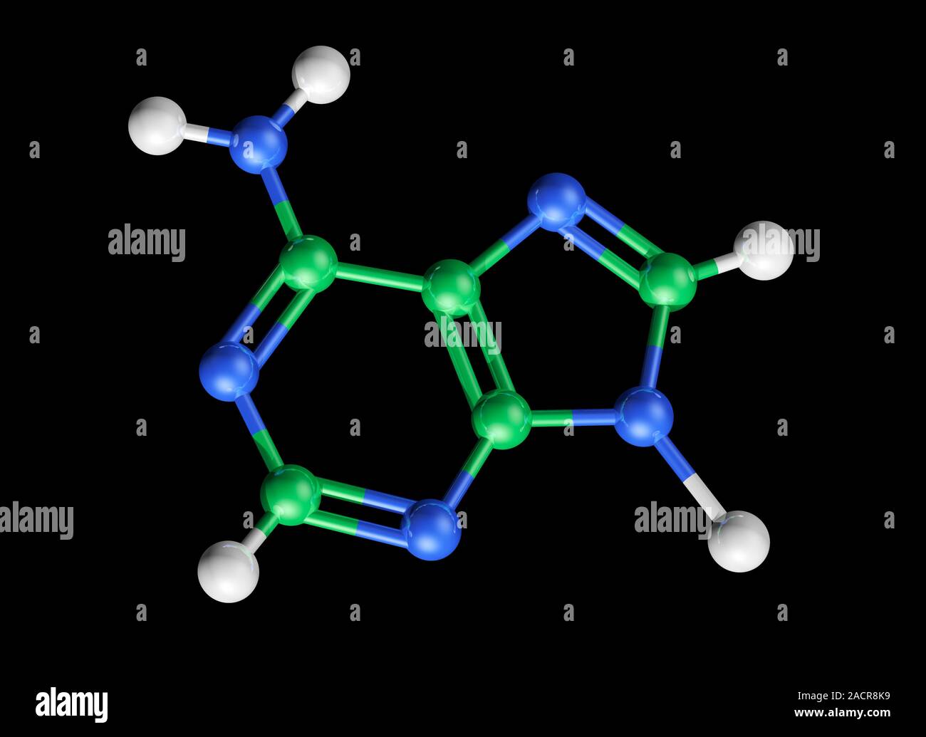 Adenine molecule. Computer artwork showing the structure of a molecule ...
