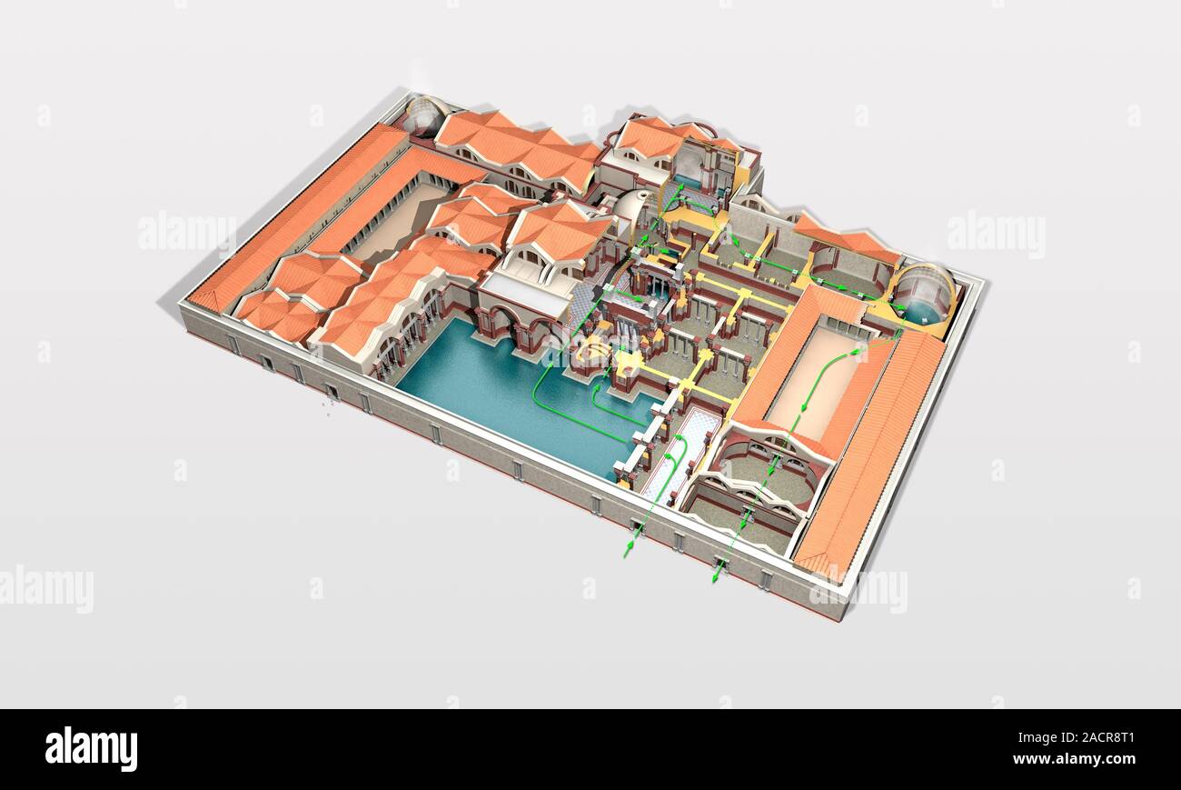 Roman baths. Cutaway artwork of the typical layout of a grand Roman ...