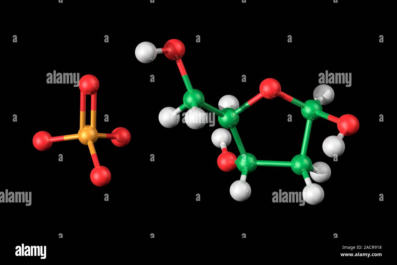 DNA components. Computer artwork showing the structure of the two ...