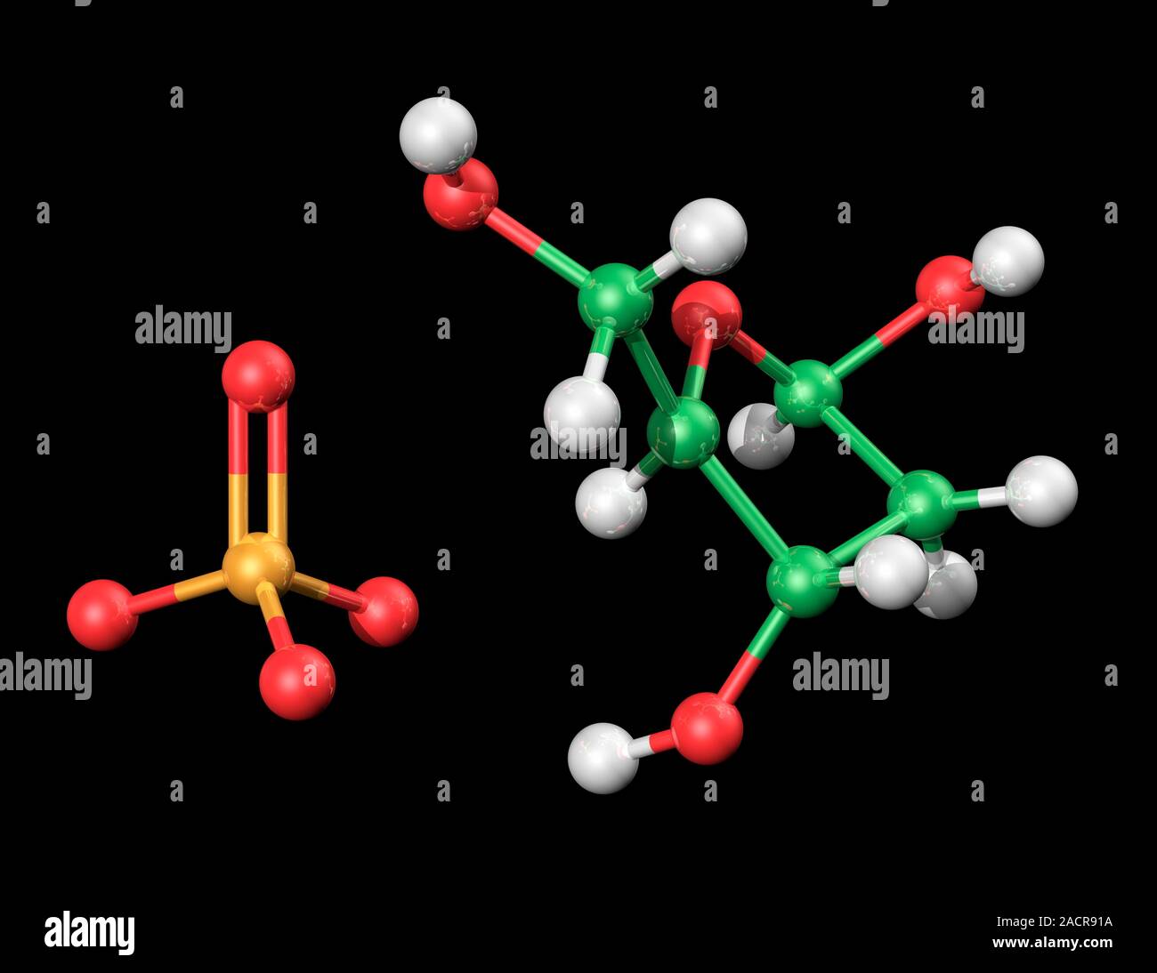 DNA components. Computer artwork showing the structure of the two ...