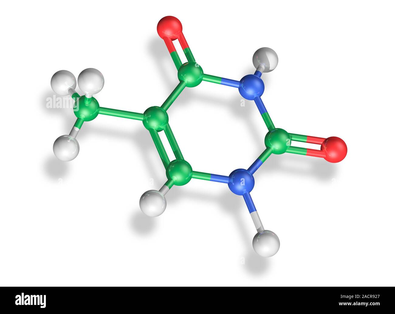 Thymine molecule. Computer artwork showing the structure of a molecule ...