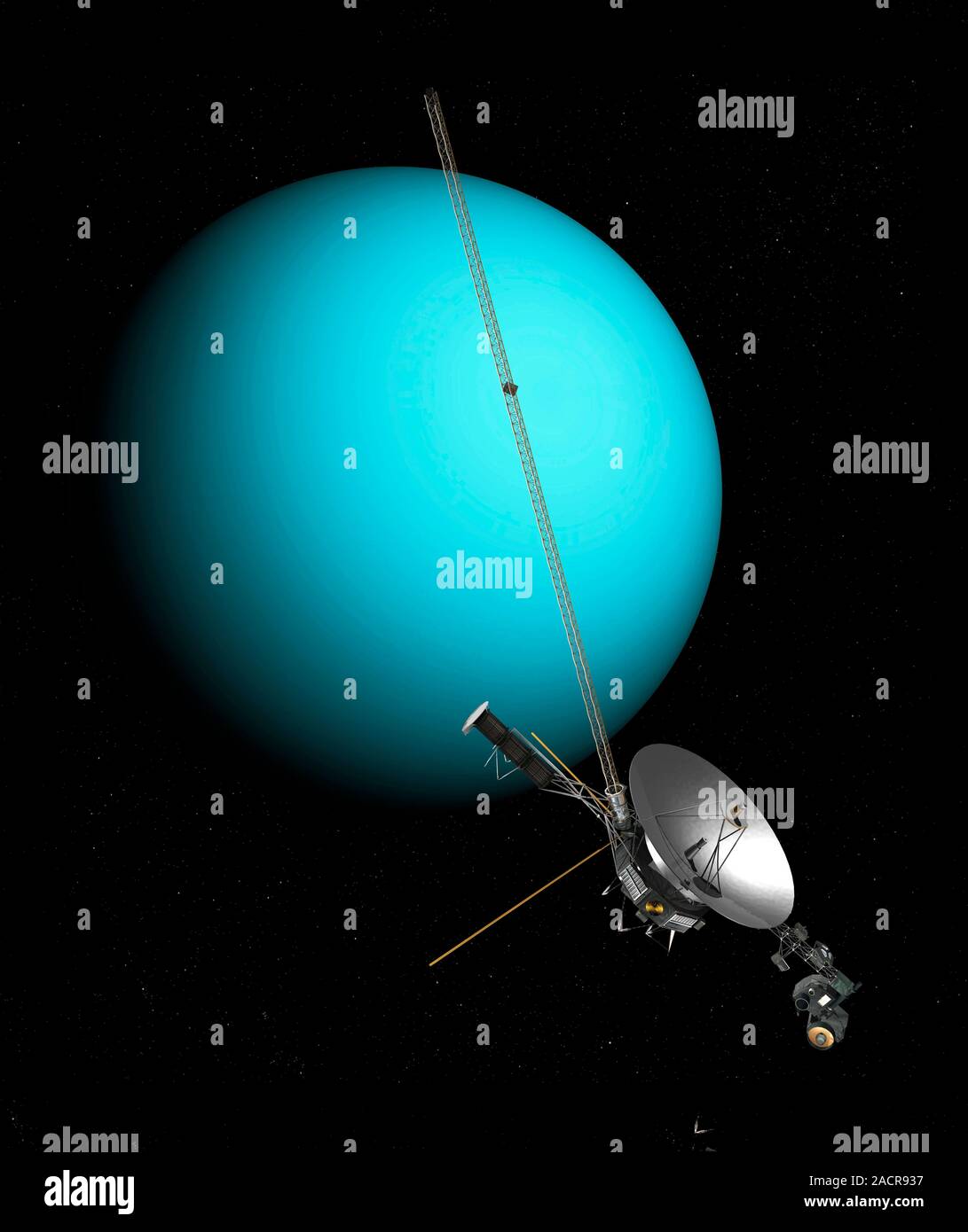 Voyager 2 and Uranus. Computer artwork of the Voyager 2 spacecraft approaching the planet Uranus ...