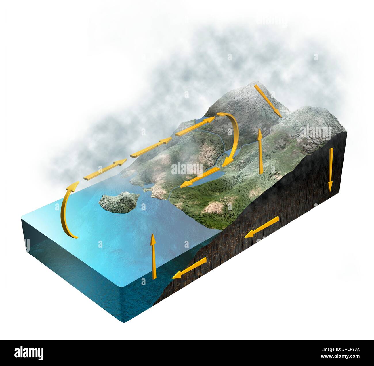 Water cycle, artwork. The natural water cycle (or hydrologic cycle ...