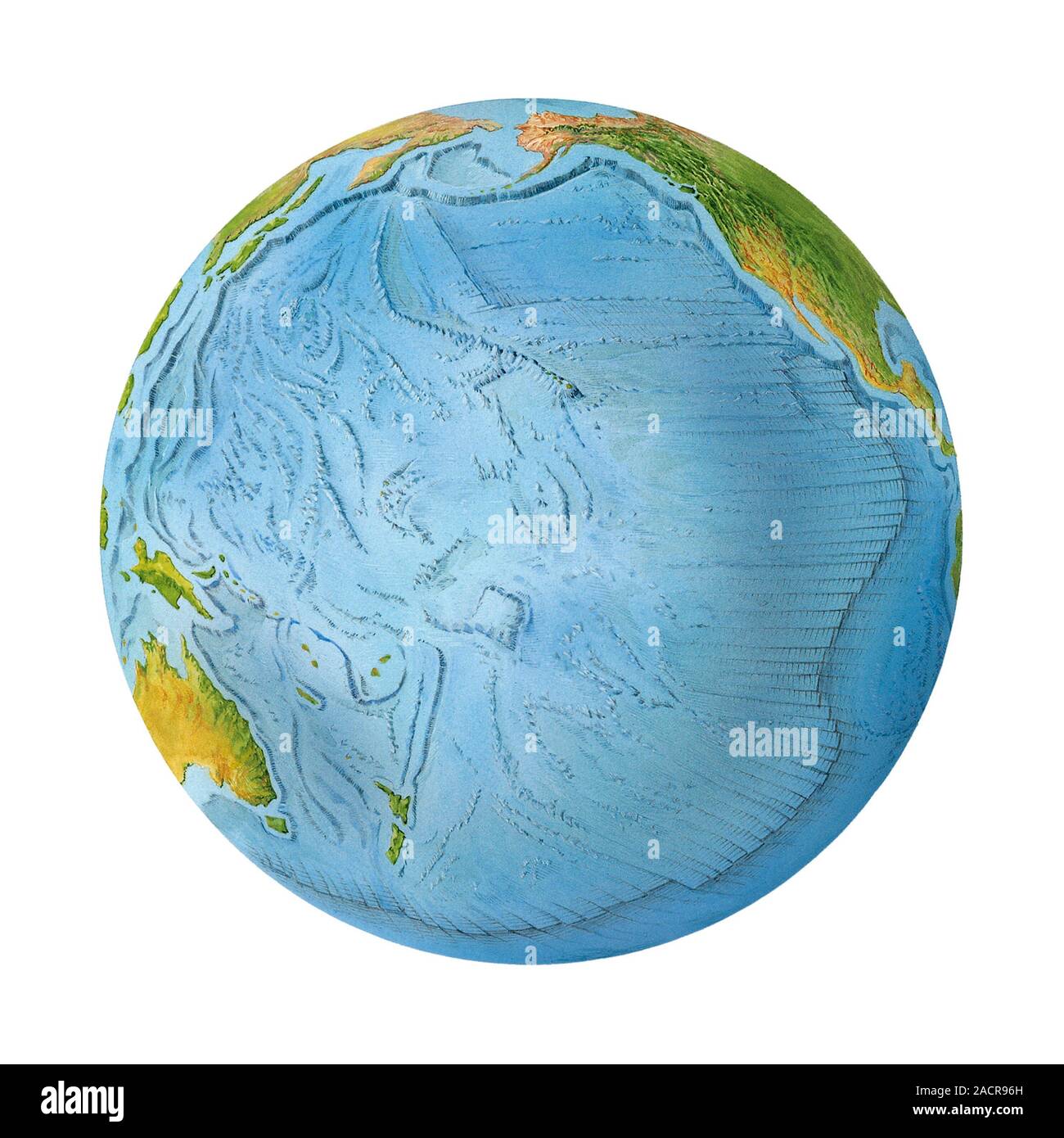 Pacific sea floor. Hemispherical artwork of the topography of the sea ...