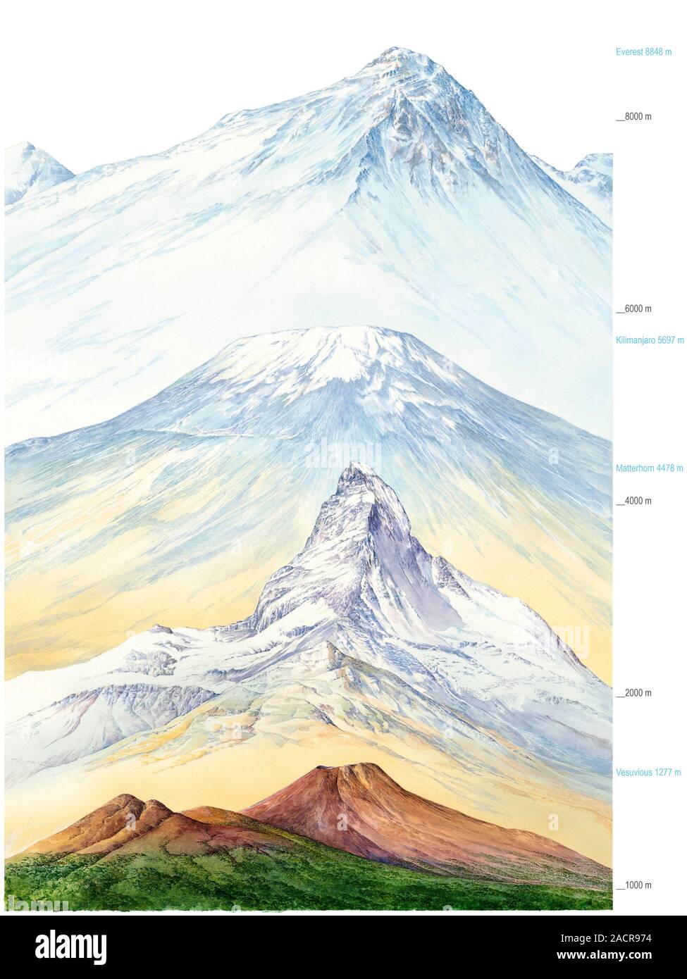 Mountain sizes. Artwork comparing the relative elevations of four ...