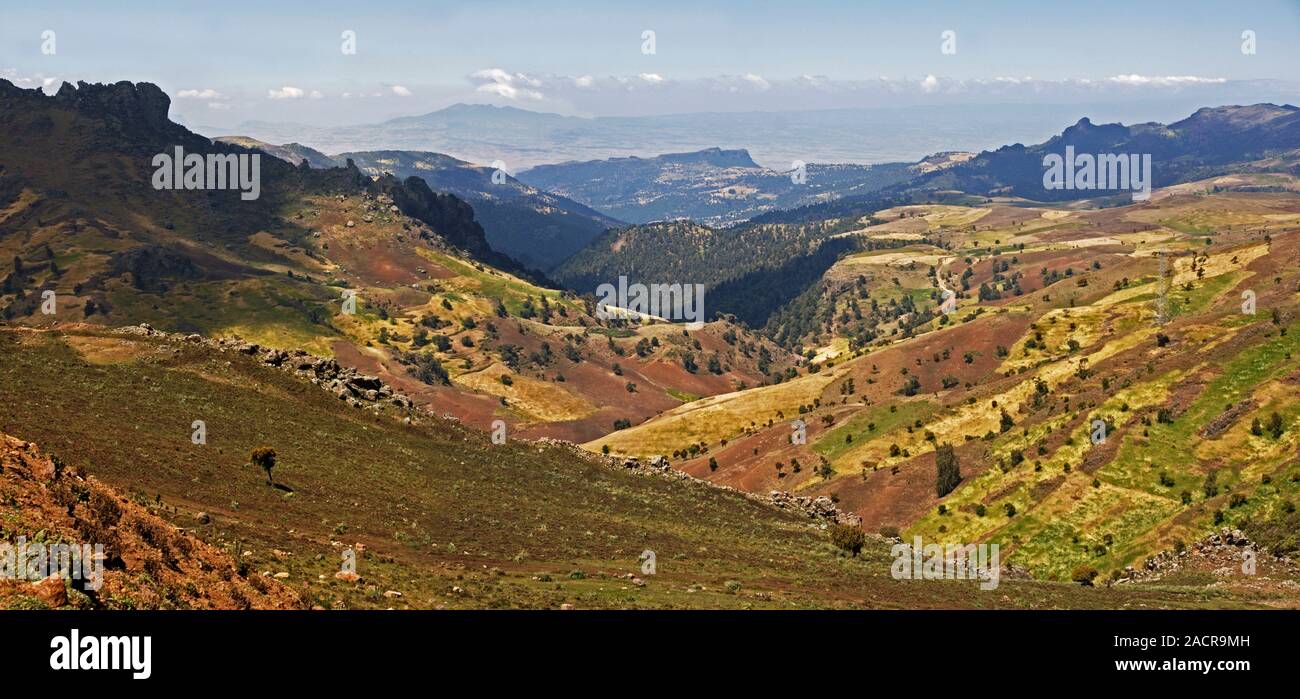 Bale Mountains foothills. Upland valley in the foothills of the Bale ...