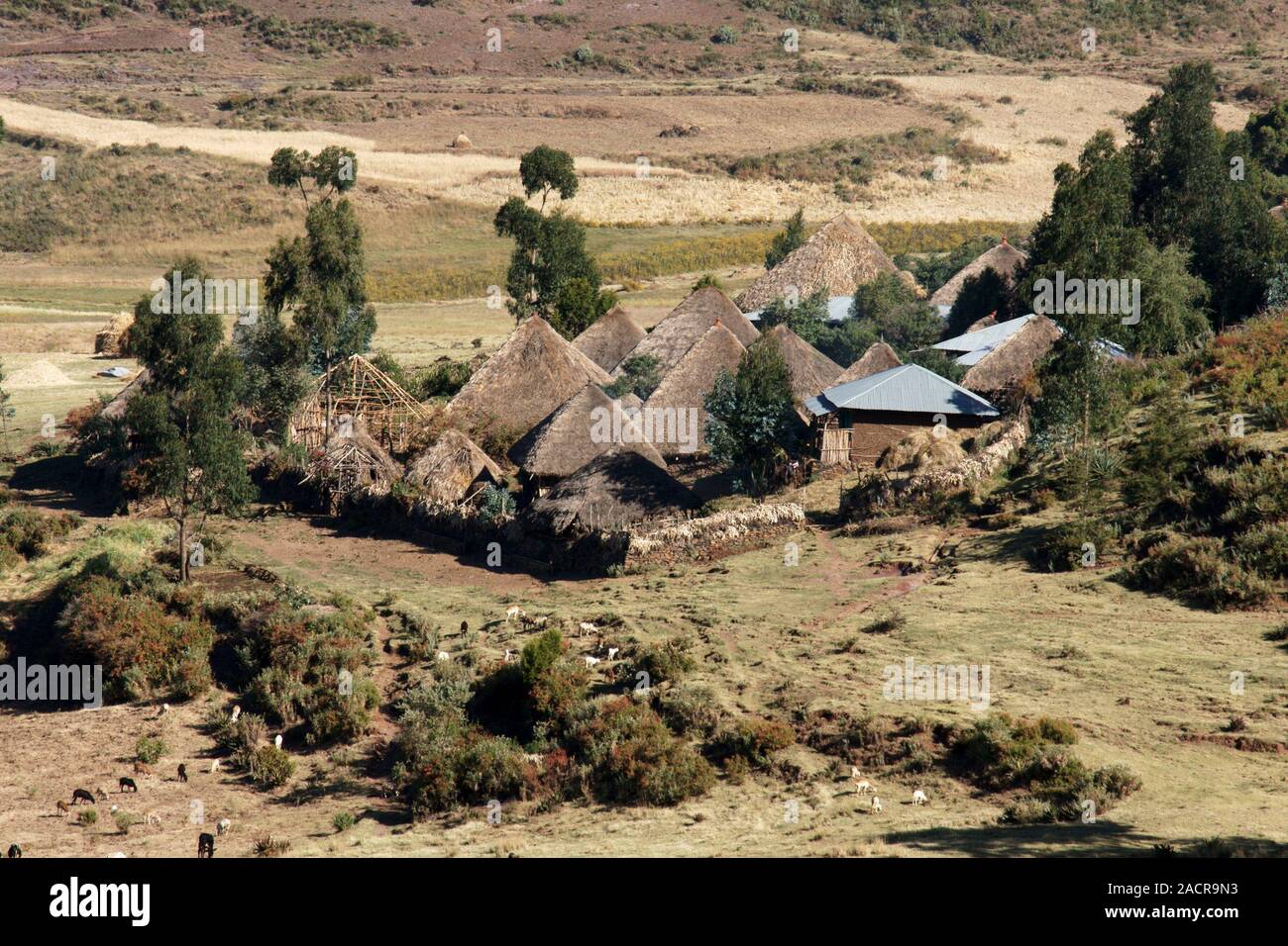 Rural settlement, Ethiopia. Aerial view of a traditional village just ...