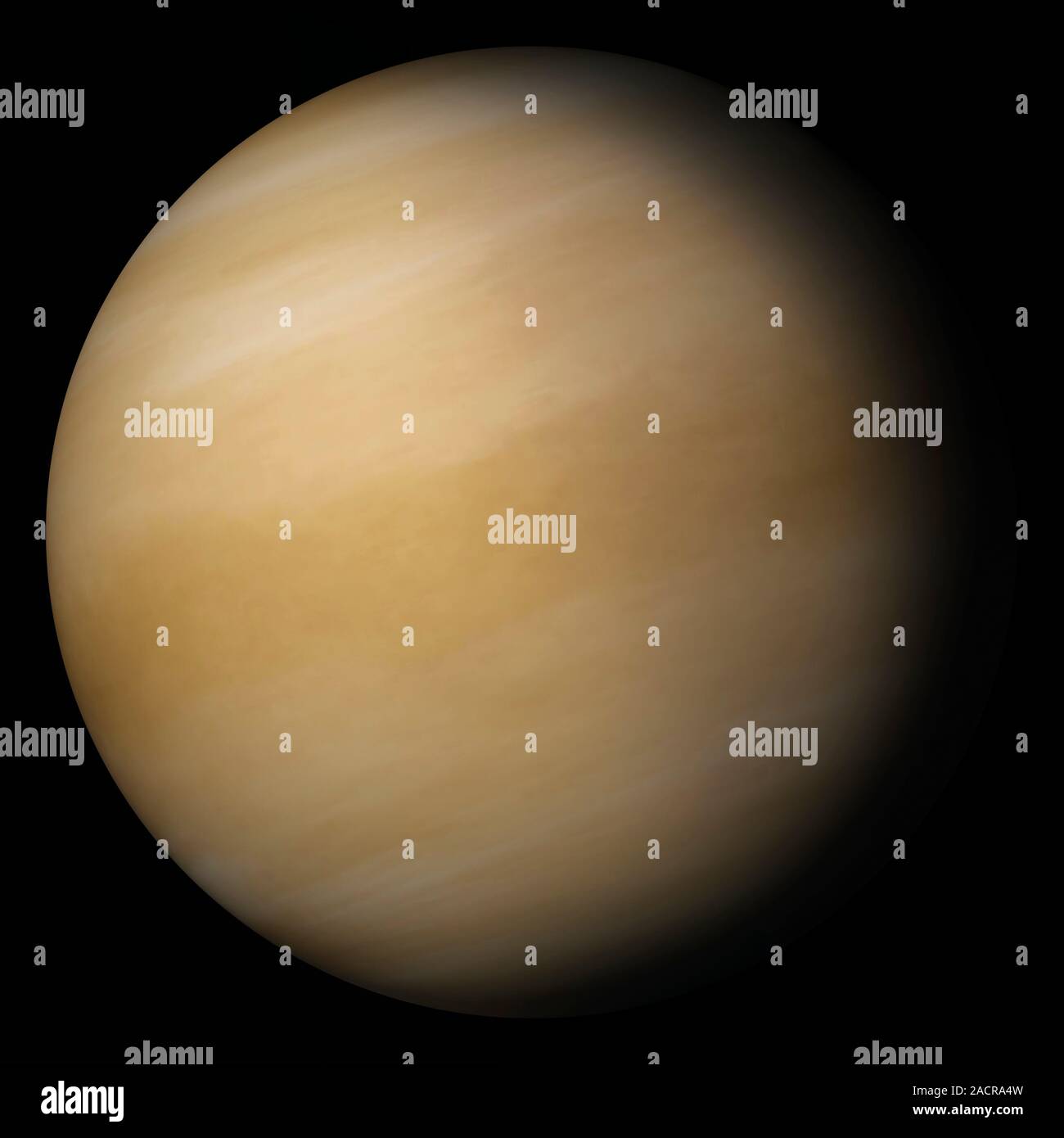 Venus from space. Computer artwork of the planet Venus. Venus is the ...