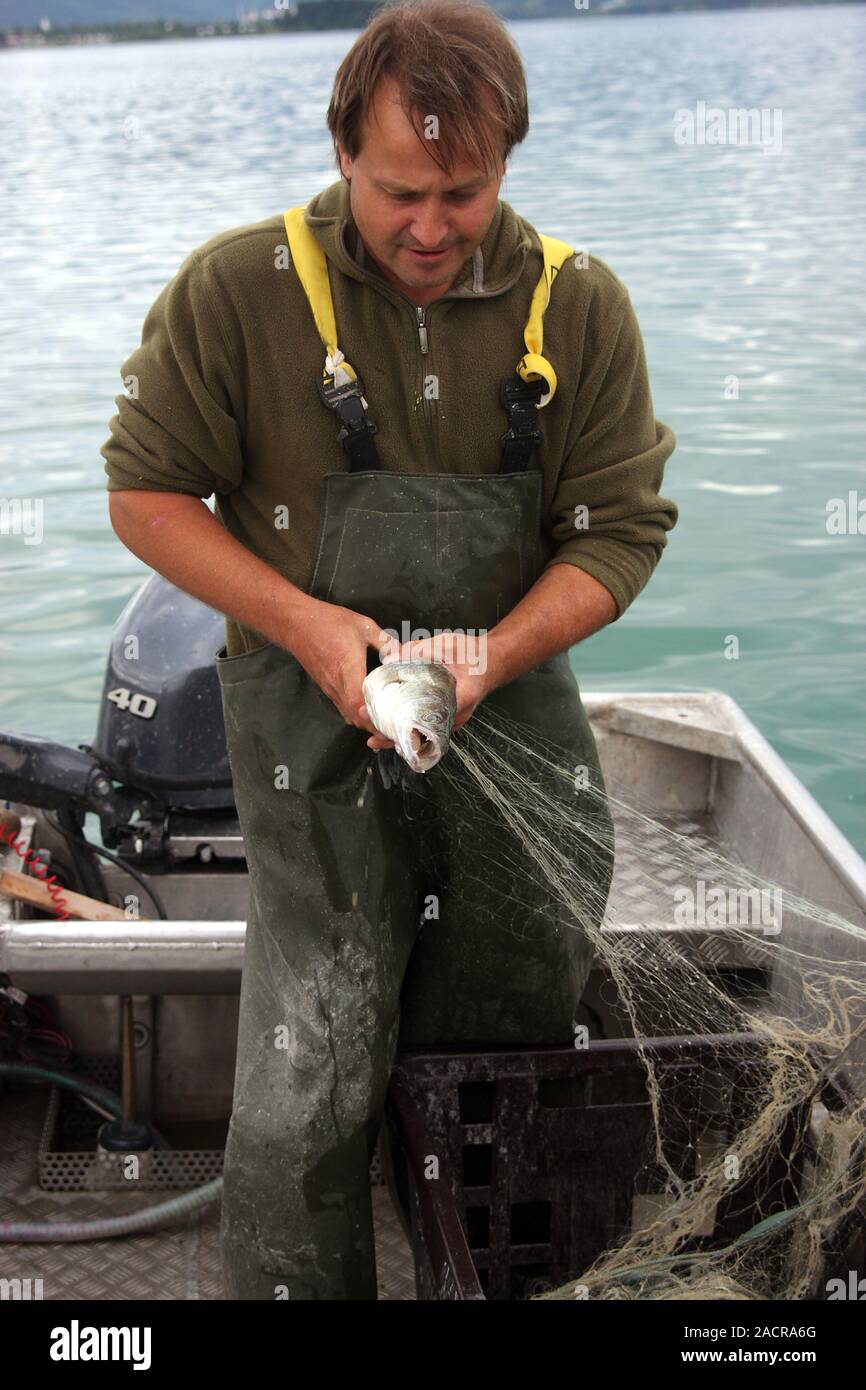 Professional fishermen at work Stock Photo - Alamy