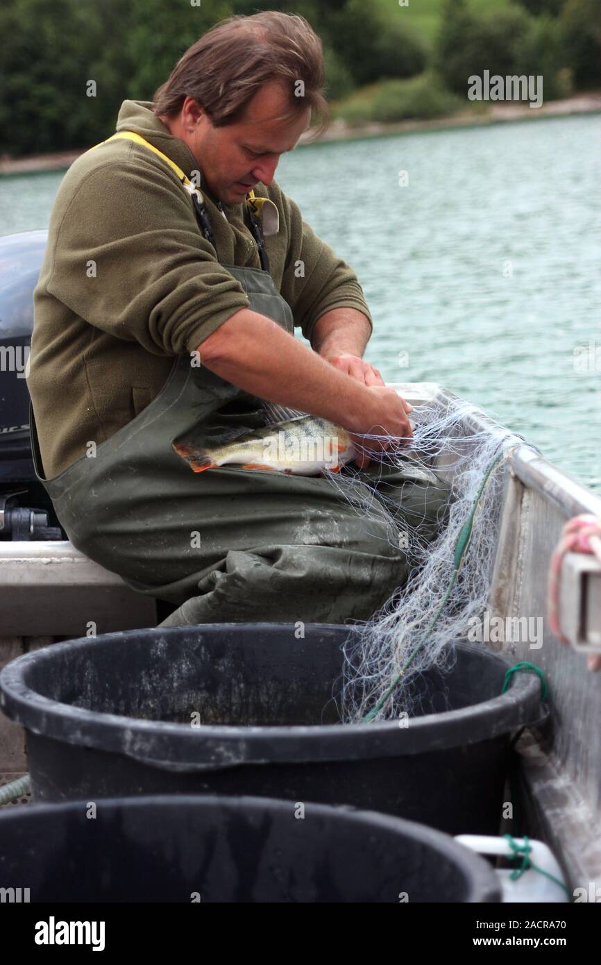 Professional fishermen at work Stock Photo - Alamy