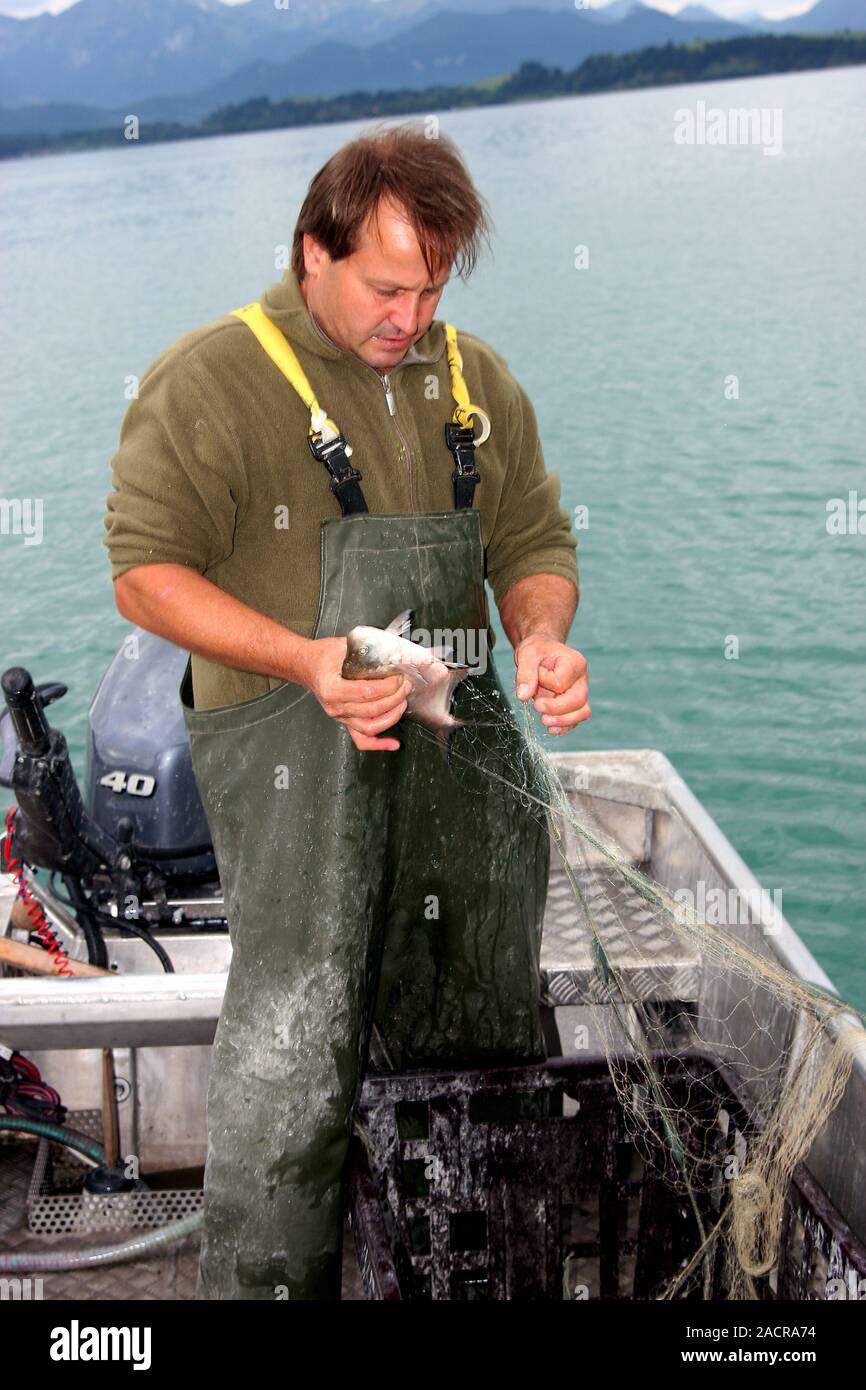 Professional fishermen at work Stock Photo - Alamy