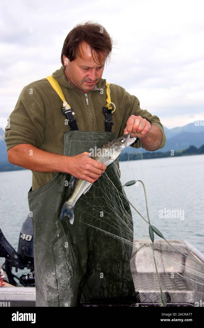 Professional fishermen hi-res stock photography and images - Alamy