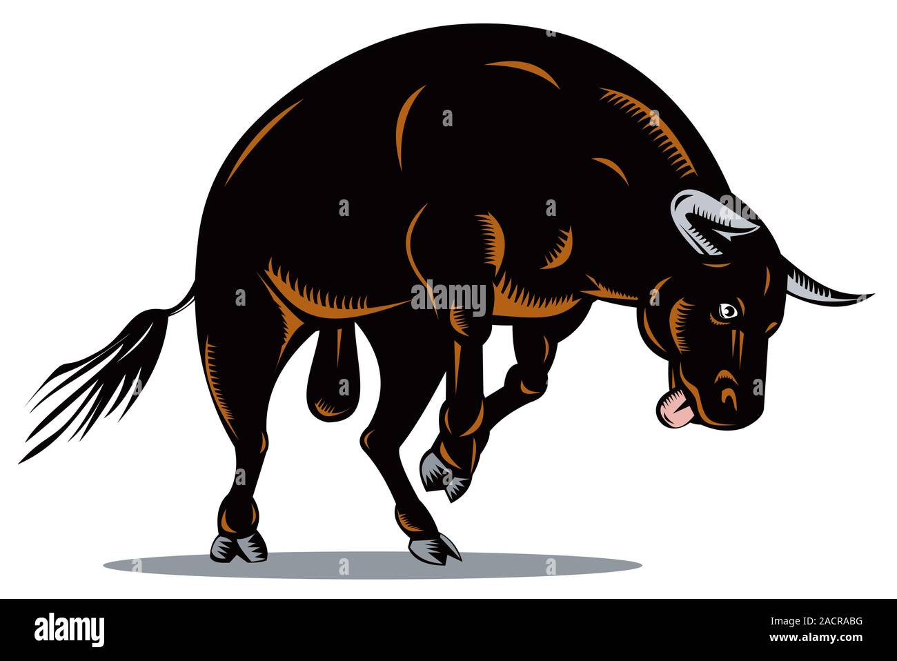 raging bull charging attacking Stock Photo - Alamy