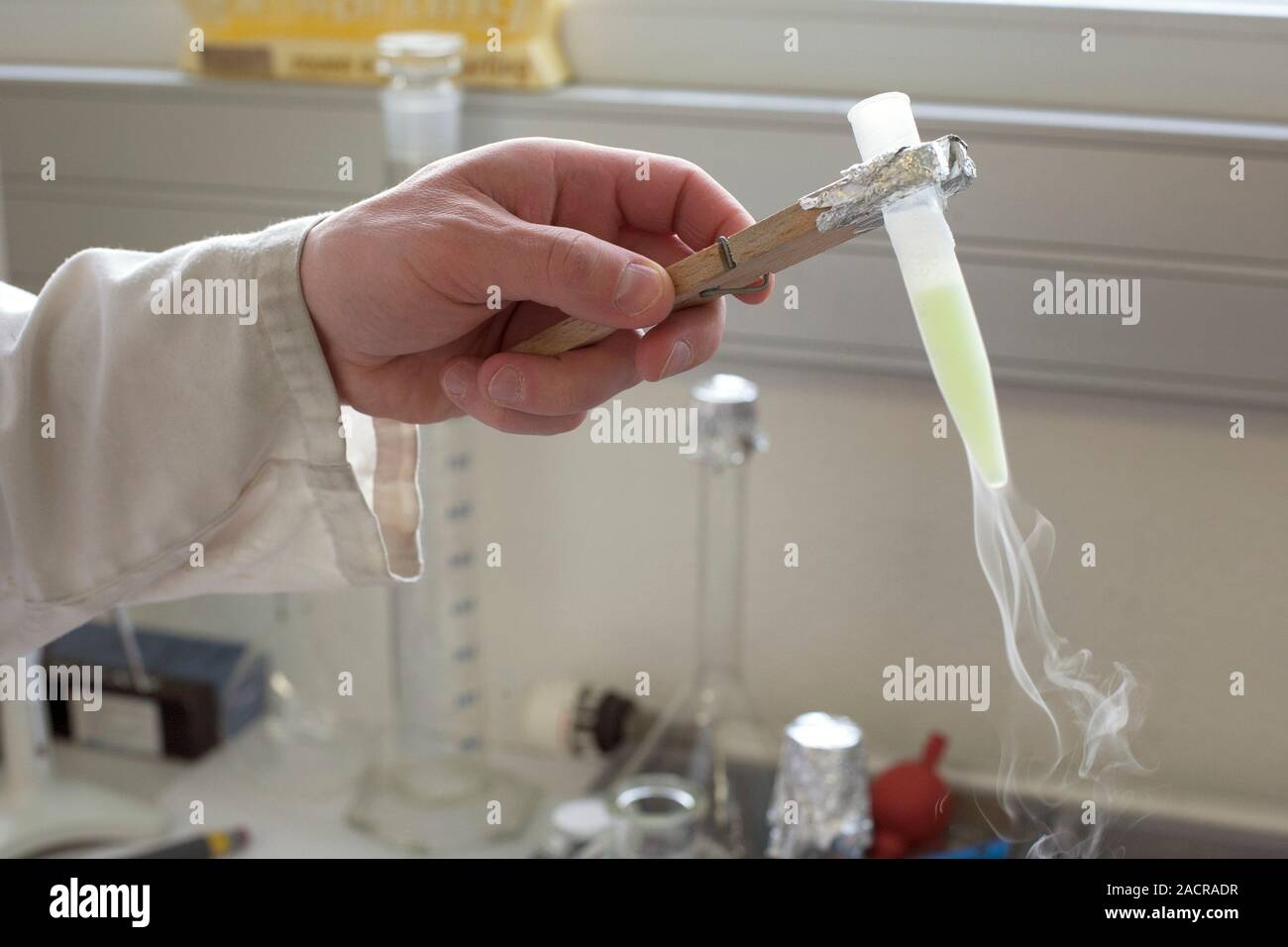 Bio-organic chemistry lab. Scientist with a cryogenically preserved ...