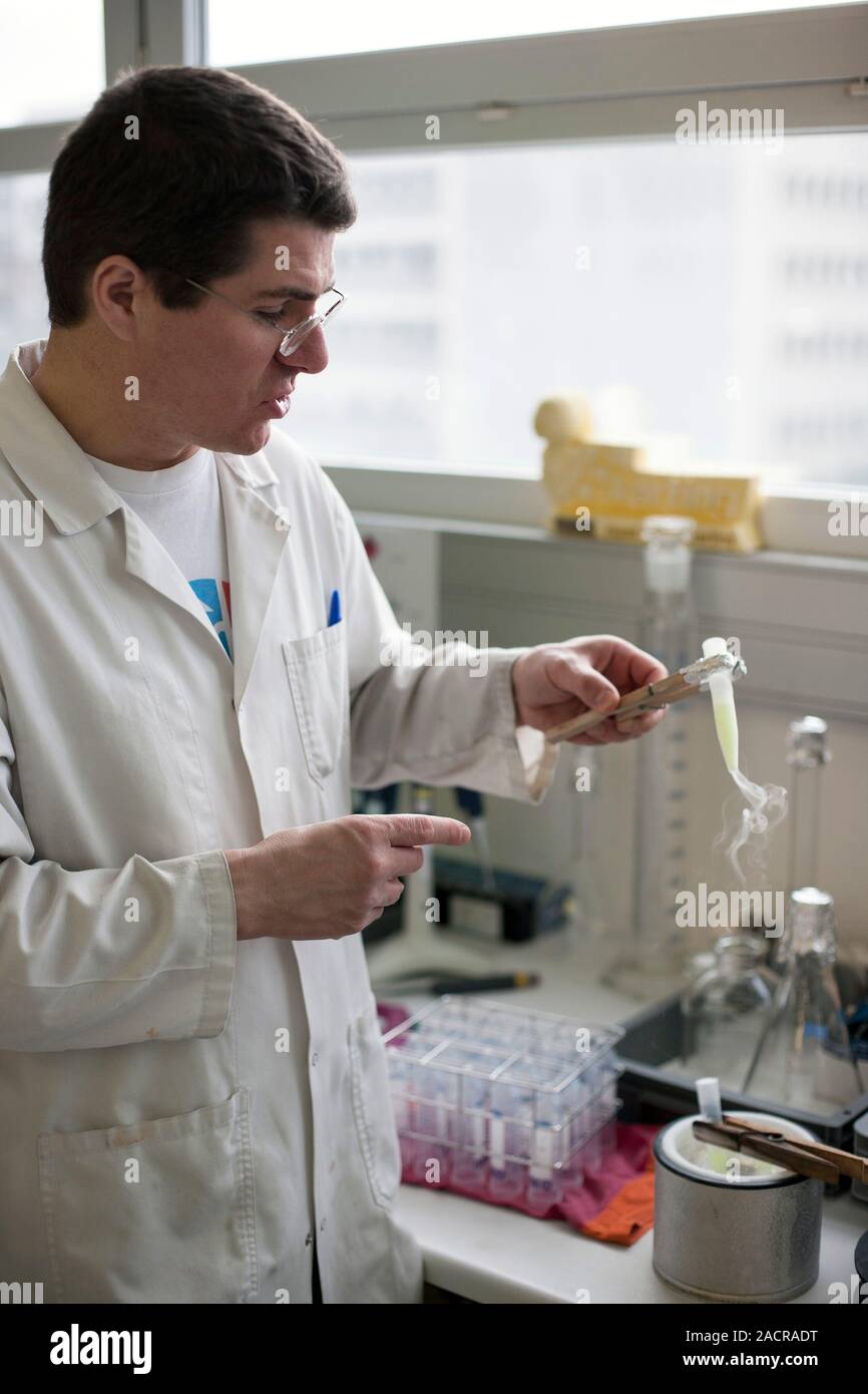 Bio-organic chemistry lab. Scientist with a cryogenically preserved ...