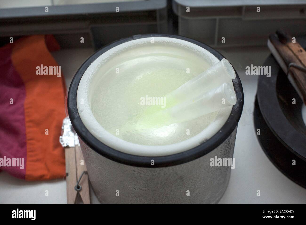 Bio-organic chemistry lab. Cryogenically preserved samples at the COBRA ...