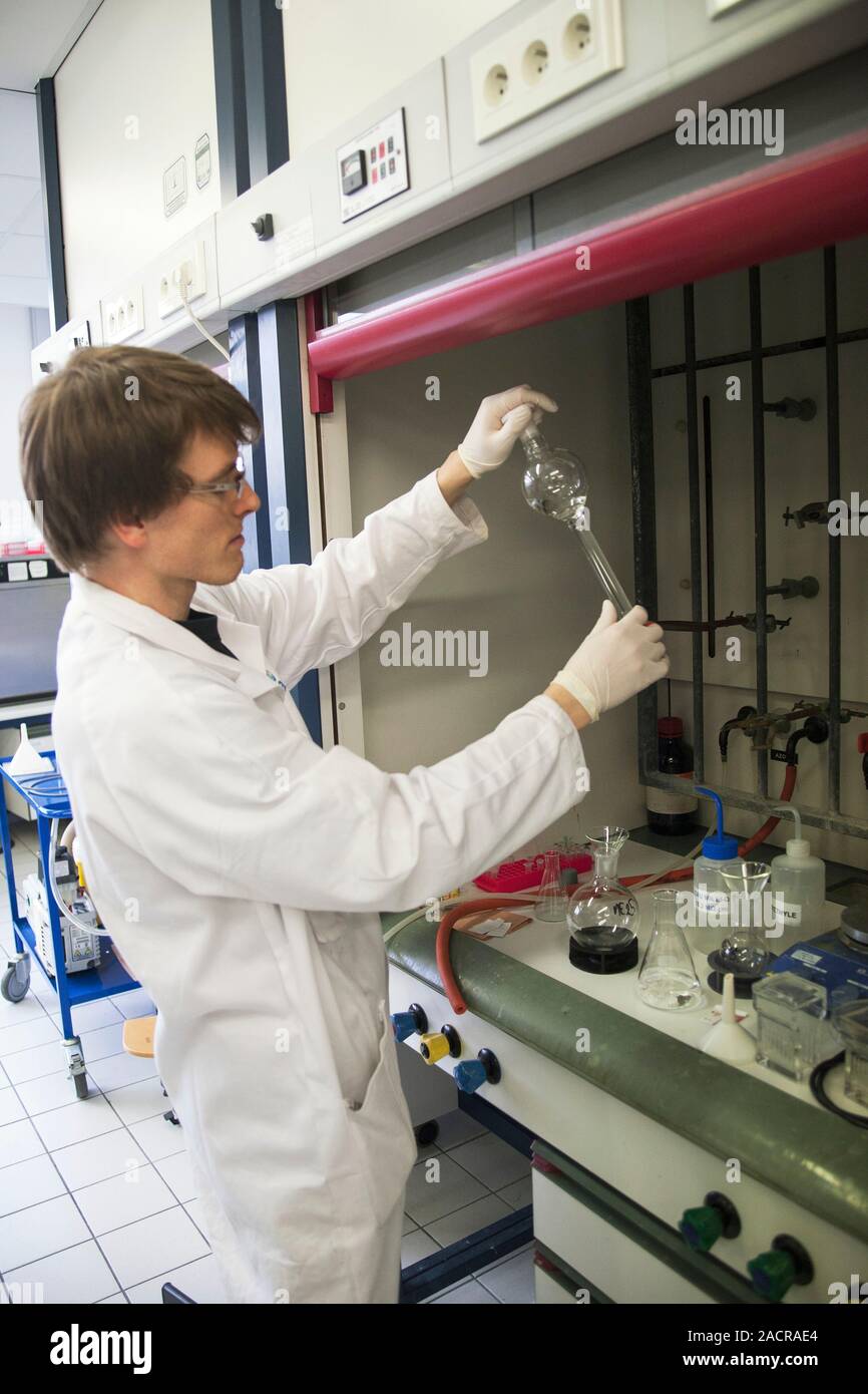 Bio-organic chemistry lab. Scientist working in the COBRA Bio-organic ...