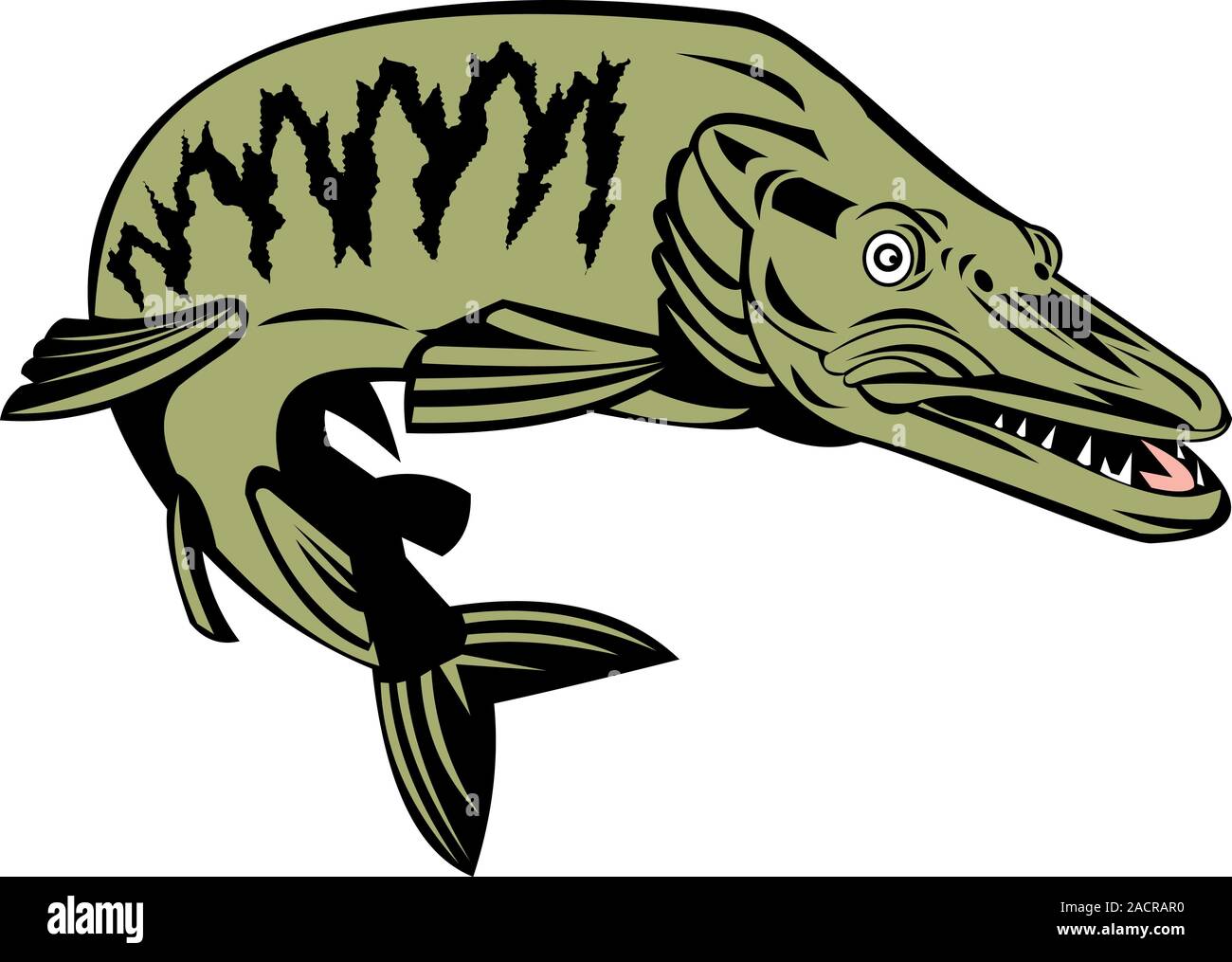 Muskie fish hi-res stock photography and images - Alamy